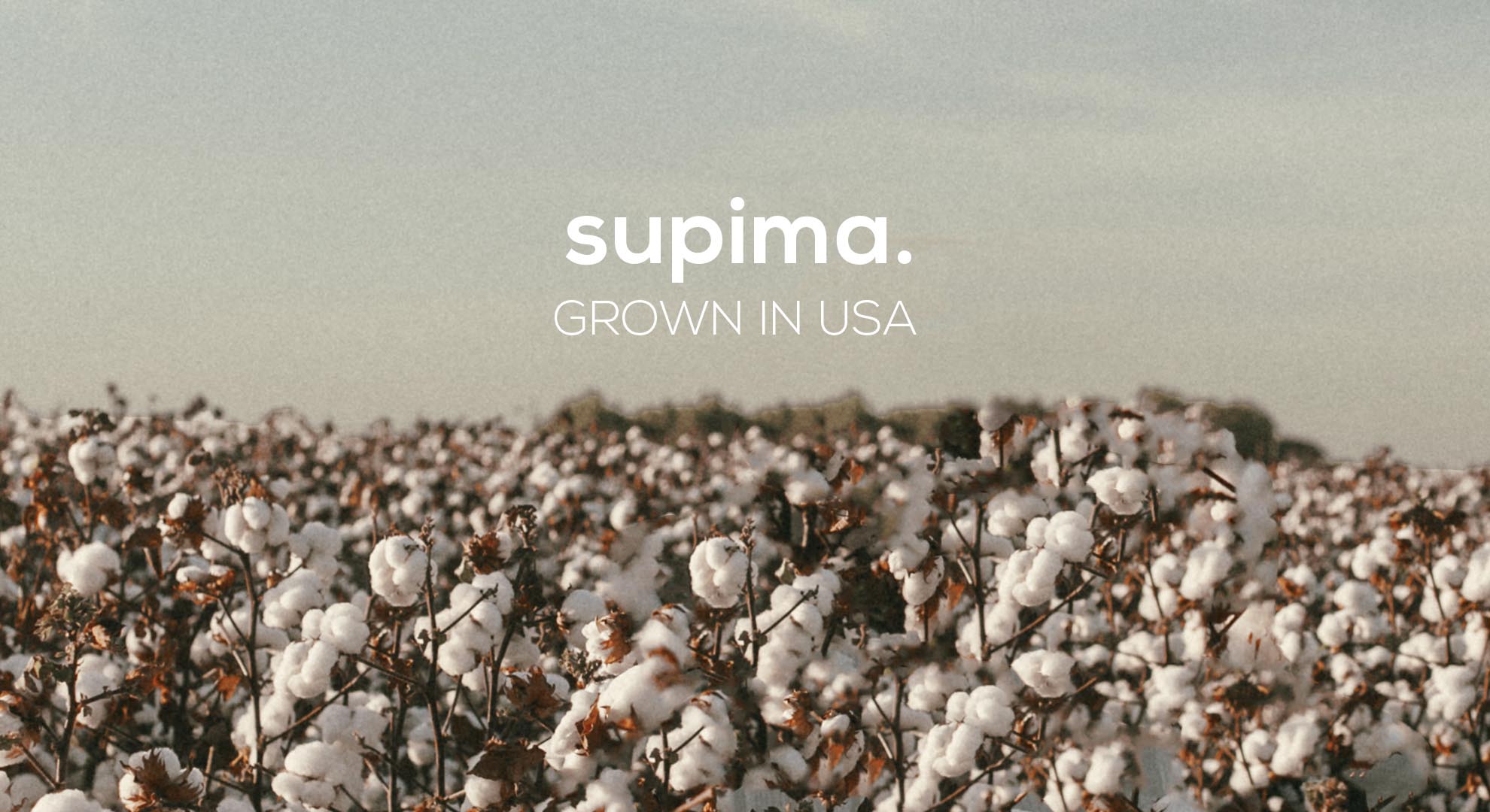 Vegan Custom Suits Online | Sustainably Tailored by A.i.